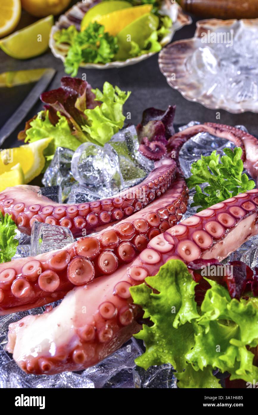 Raw octopus on the ice Stock Photo - Alamy
