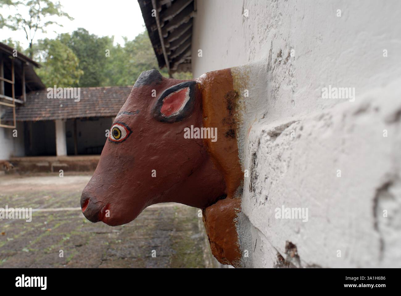 Painted cow head at the temple of shree Devi Bhagvati, Sansthan ...