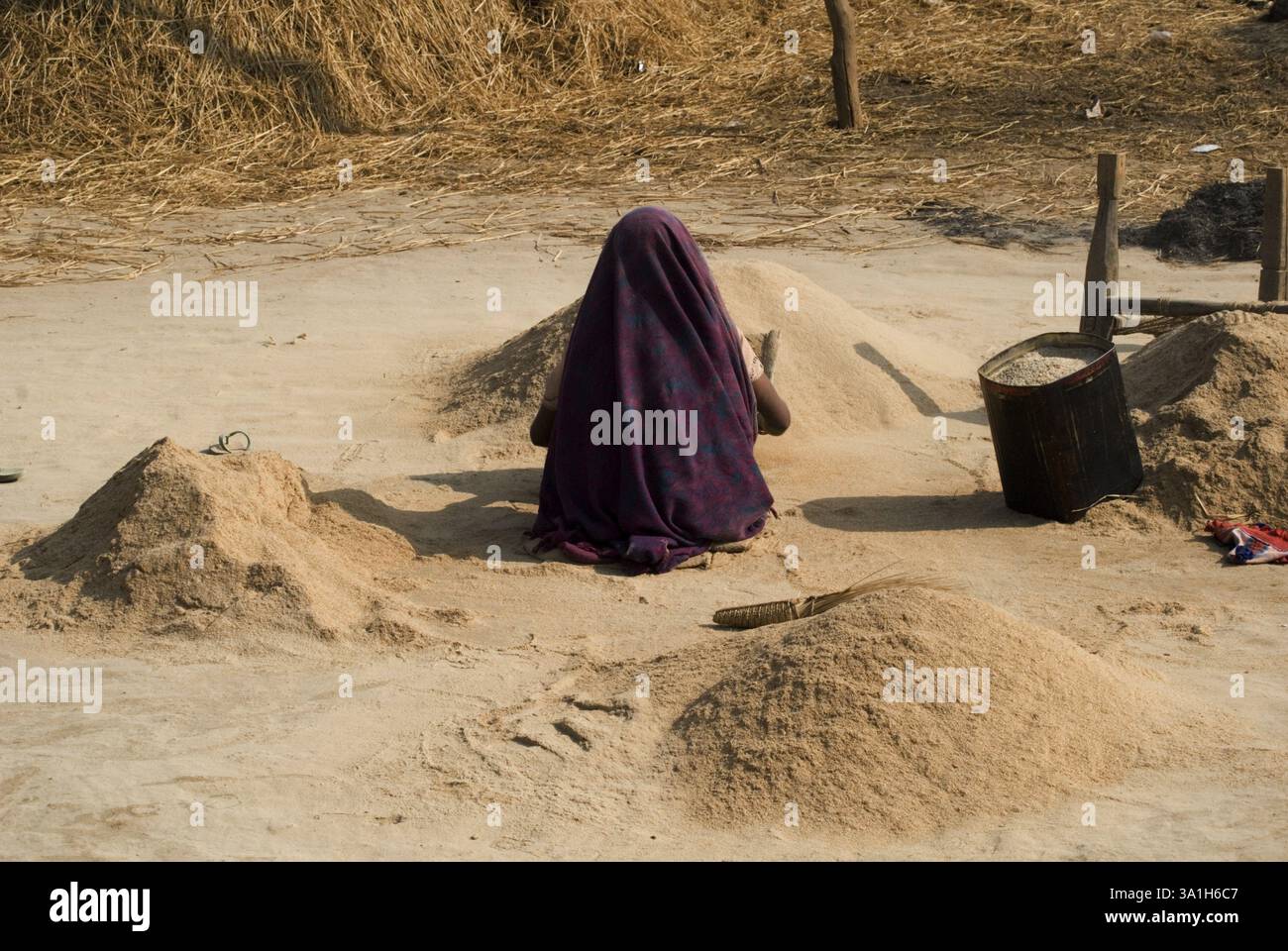 Rural woman winnowing grain, Latehar, Jharkhand, India, Asia Stock ...