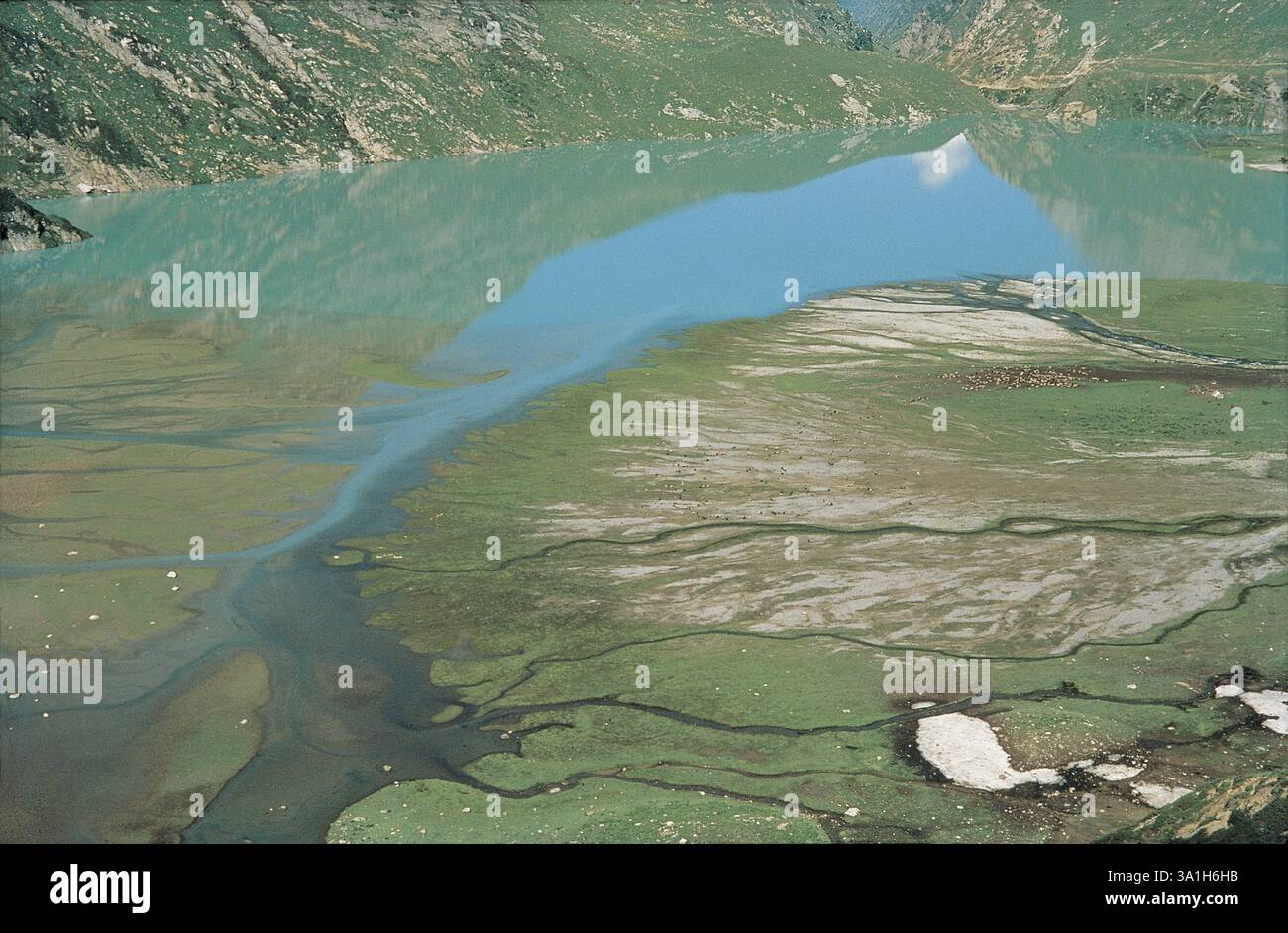 Sheshnag lake (3580 m), Jammu & Kashmir, India, Asia Stock Photo - Alamy