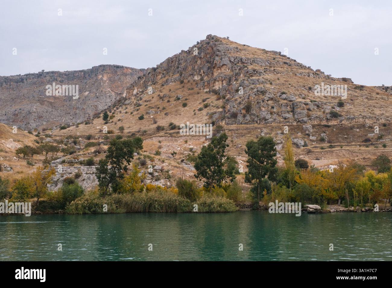 Turkey, Turkiye. Vegetation along the Riverbank of the Euphrates River ...