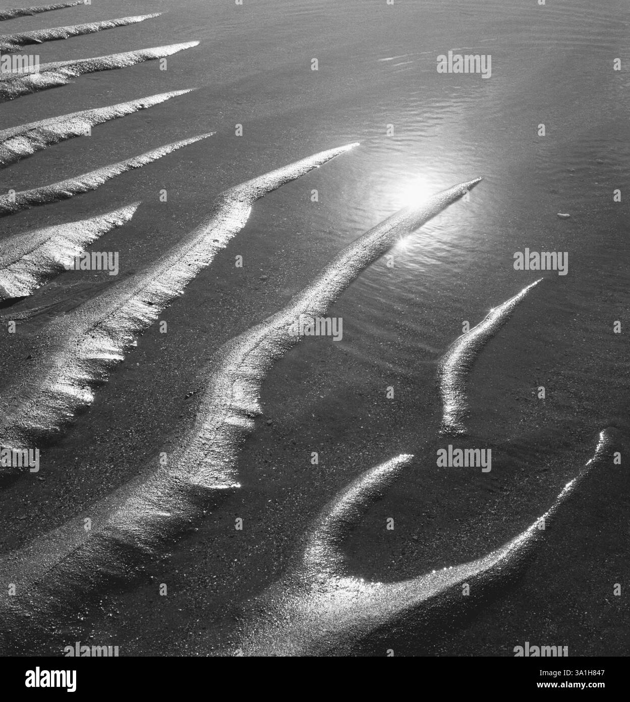 Creepers designs on sand in Porbandar area of Gujarat, India, Asia ...