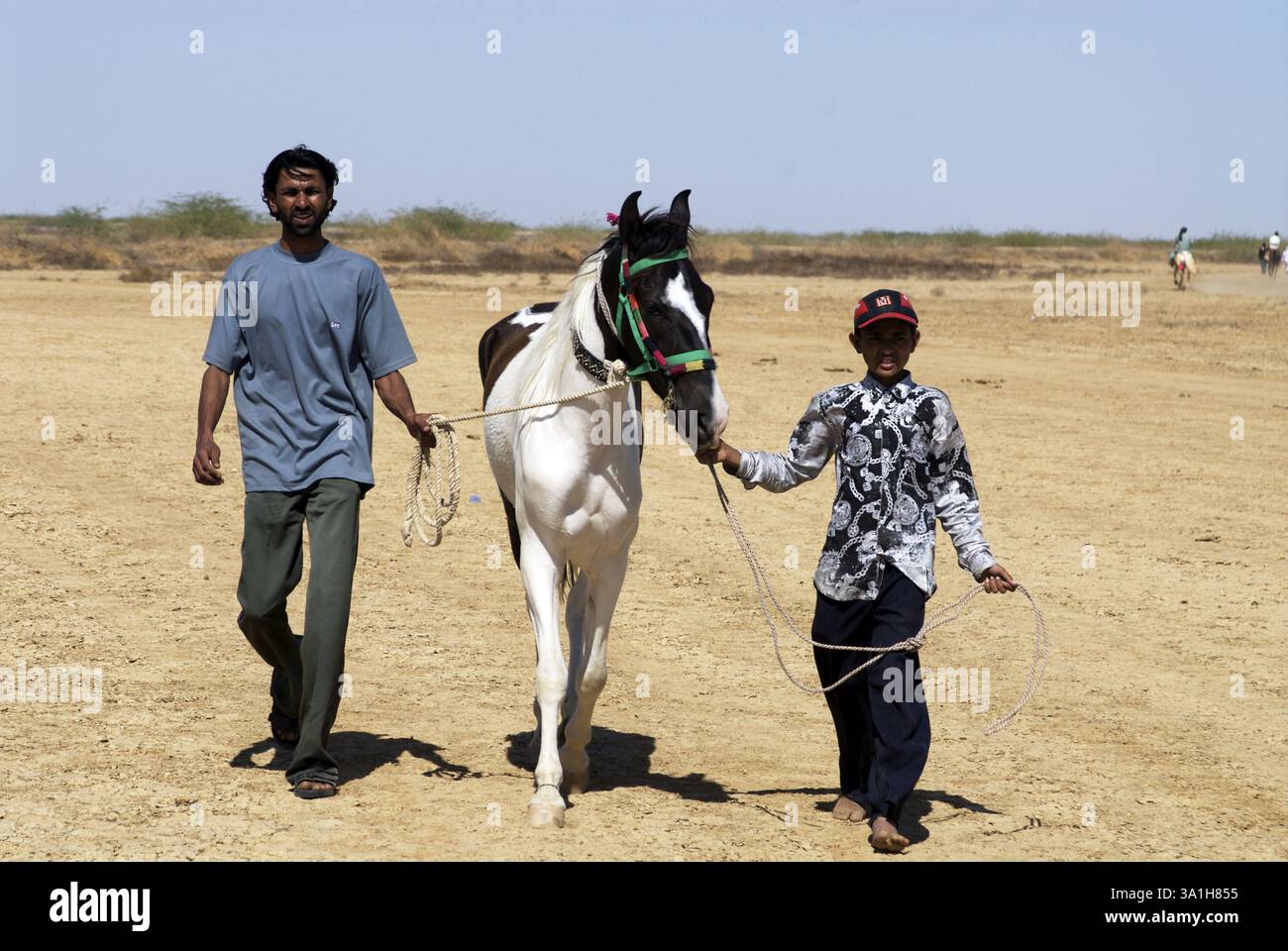 Horse ride, Shivratri fair, Kutch, Gujarat, India, Asia Stock Photo - Alamy