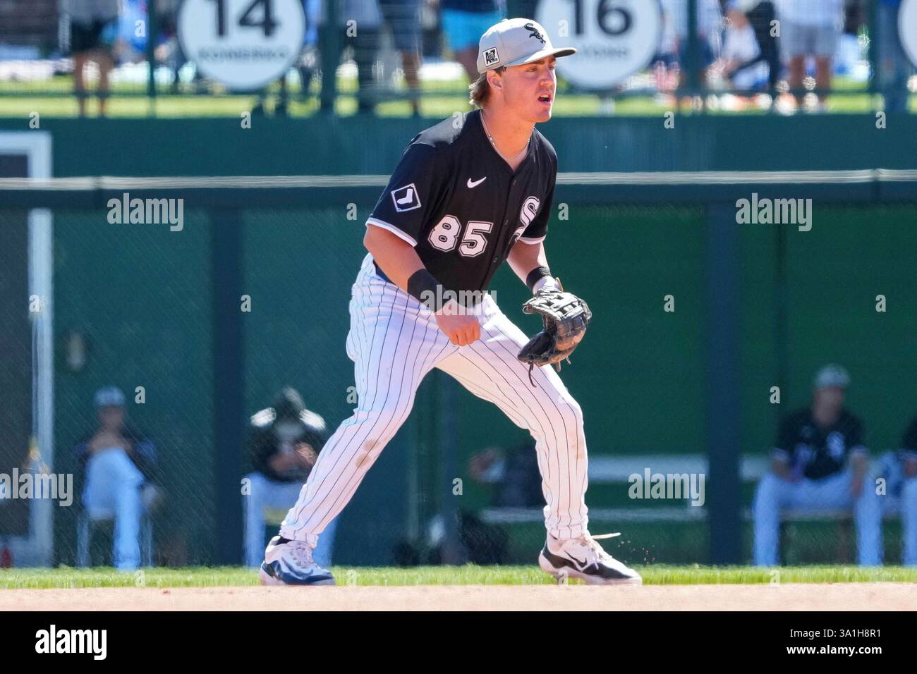 Chicago White Sox second baseman Chase Meidroth (85) during their ...