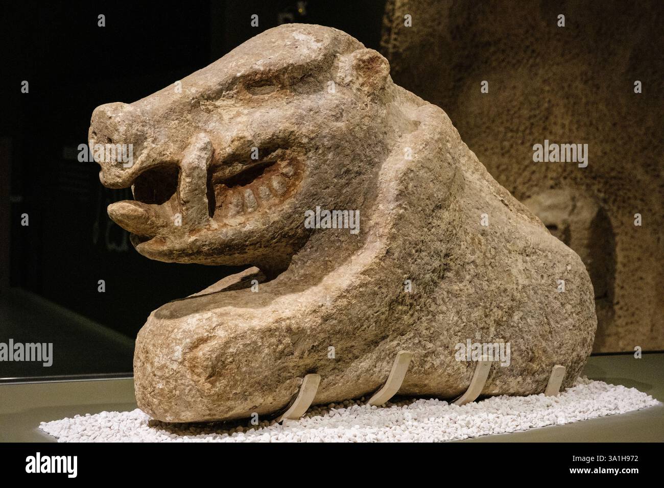 Turkey, Turkiye. Sanliurfa Museum Exhibit. Statue of a Wild Boar or Pig ...