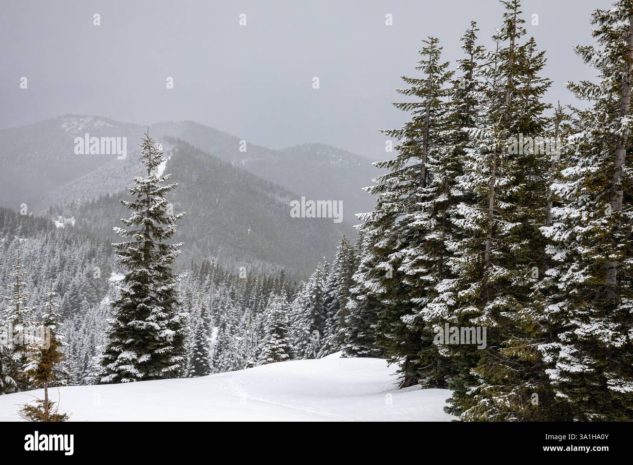 4877 feet elevation hi-res stock photography and images - Alamy