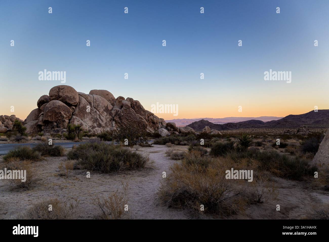 Joshua tree pink sky hi-res stock photography and images - Alamy