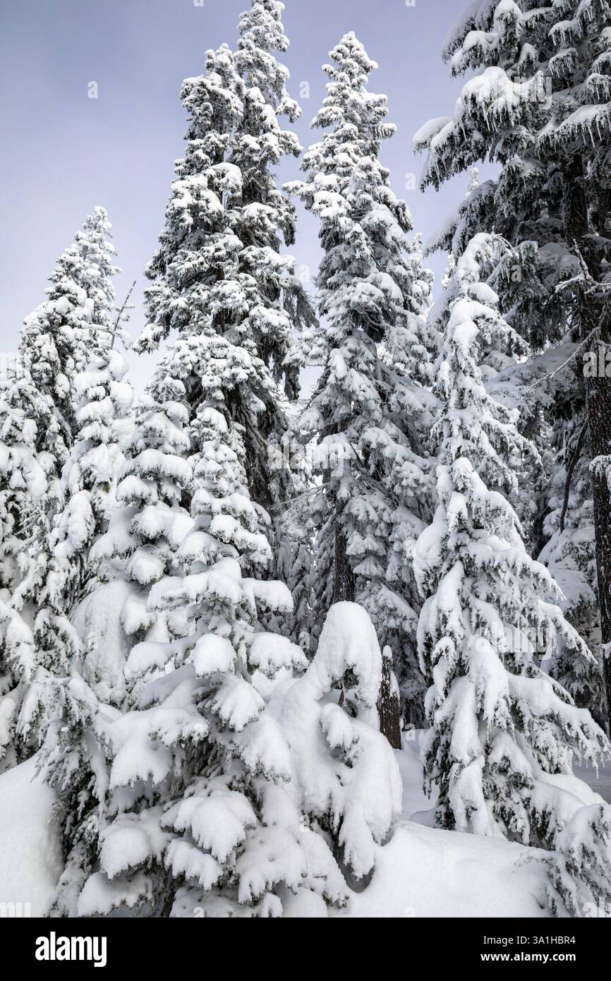 National old trails road hi-res stock photography and images - Alamy