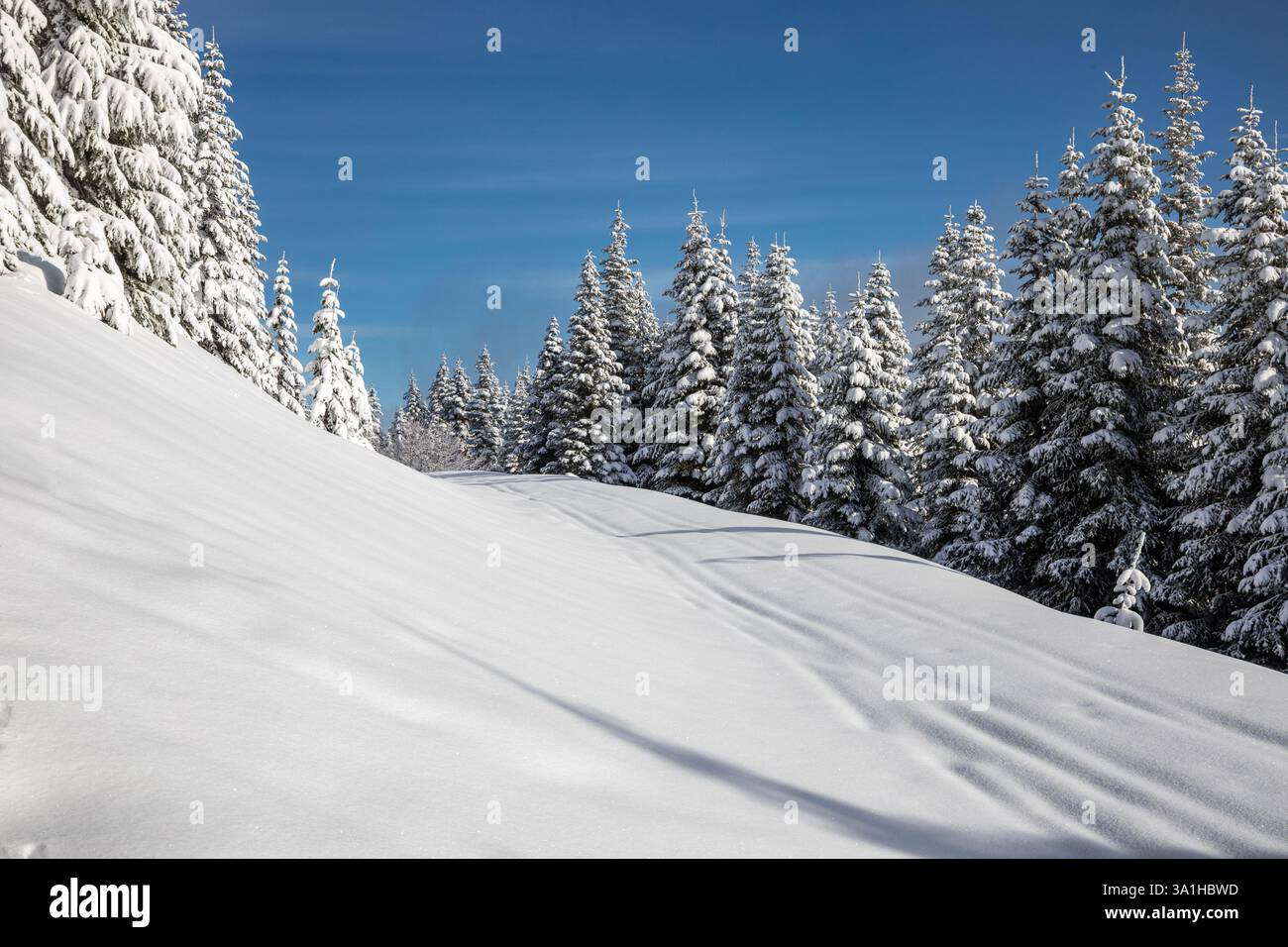 Fresah snow hi-res stock photography and images - Alamy