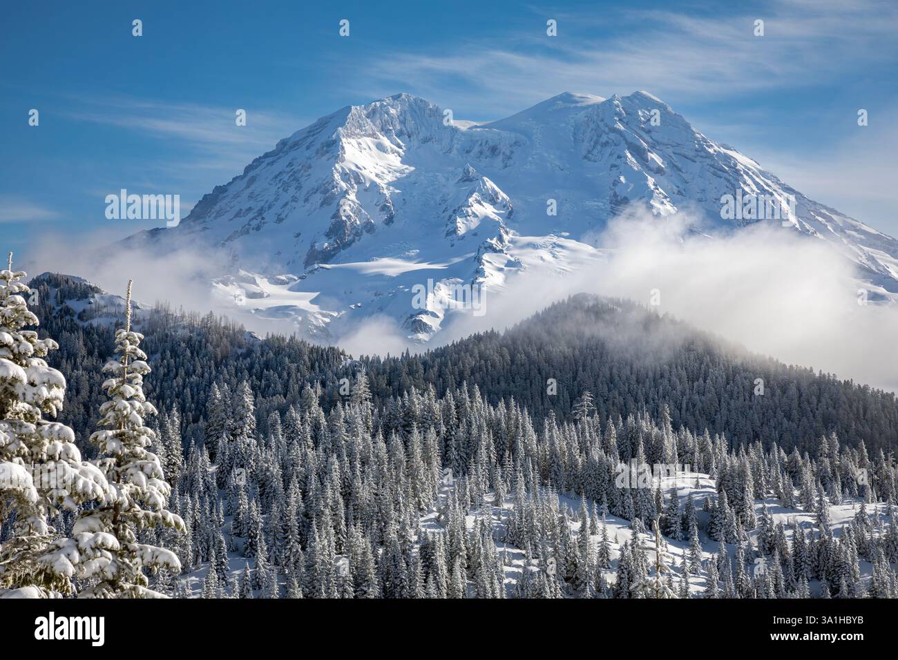 WA28184-00...WASHINGTON - Morning light on Mount Rainier from the Tenth ...