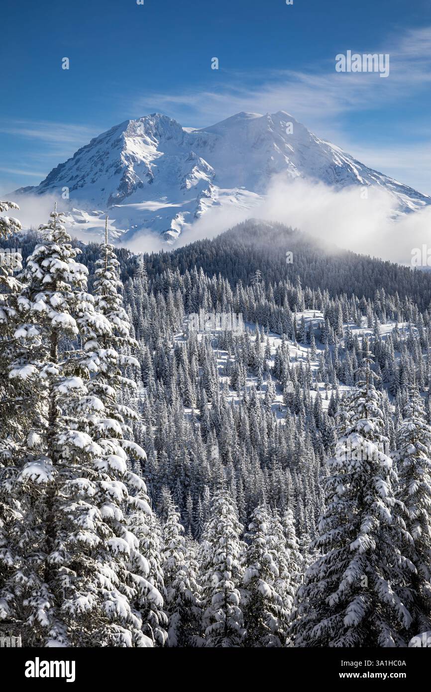 WA28185-00...WASHINGTON - Morning light on Mount Rainier from the Tenth ...