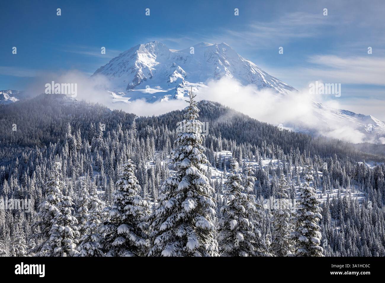 WA28188-00...WASHINGTON - Morning light on Mount Rainier from the Tenth ...