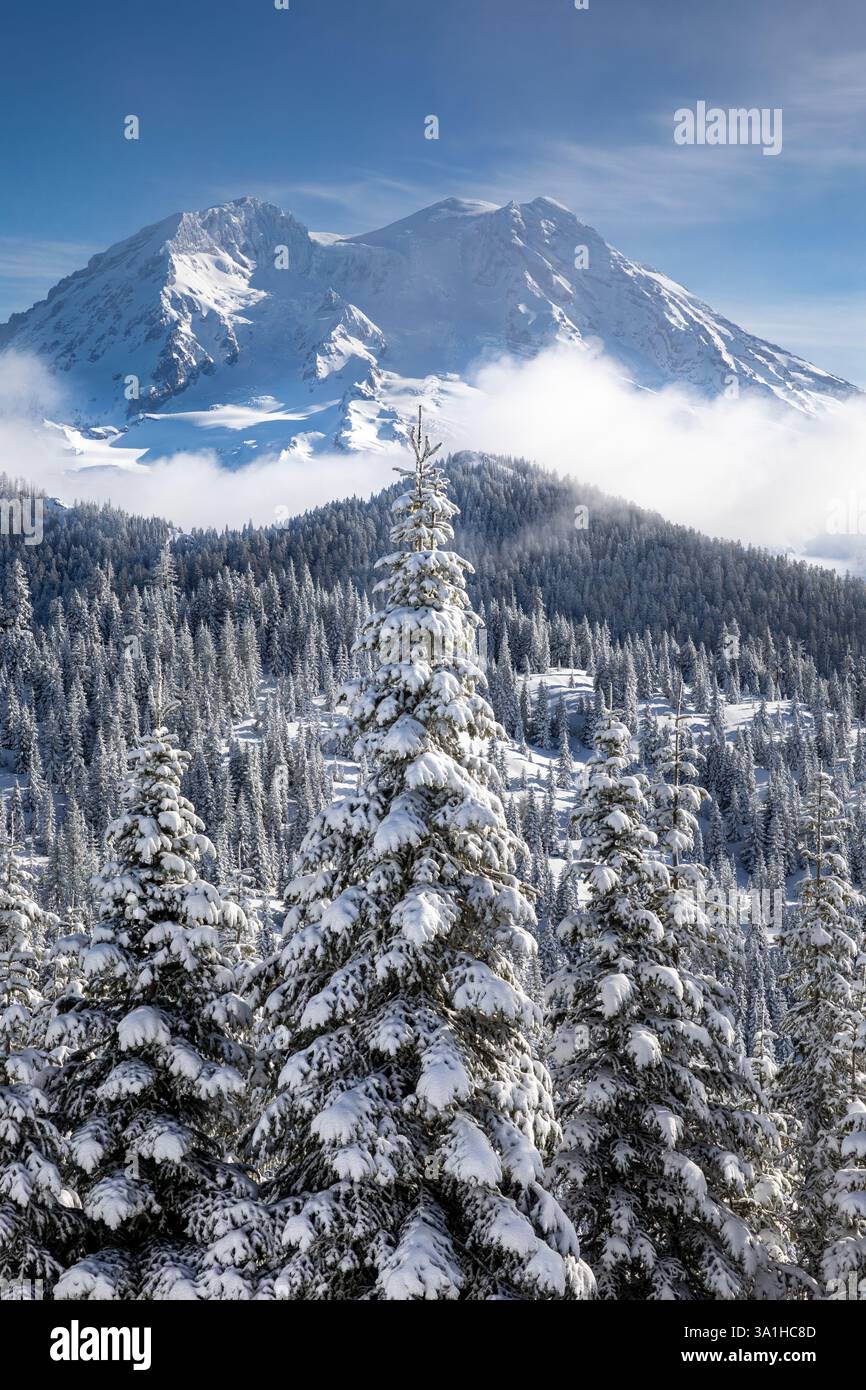 WA28189-00...WASHINGTON - Morning light on Mount Rainier from the Tenth ...