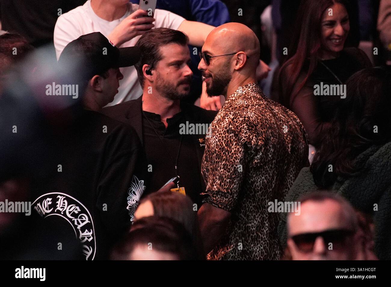 Andrew Tate attends a UFC 313 mixed martial arts event bout Saturday ...