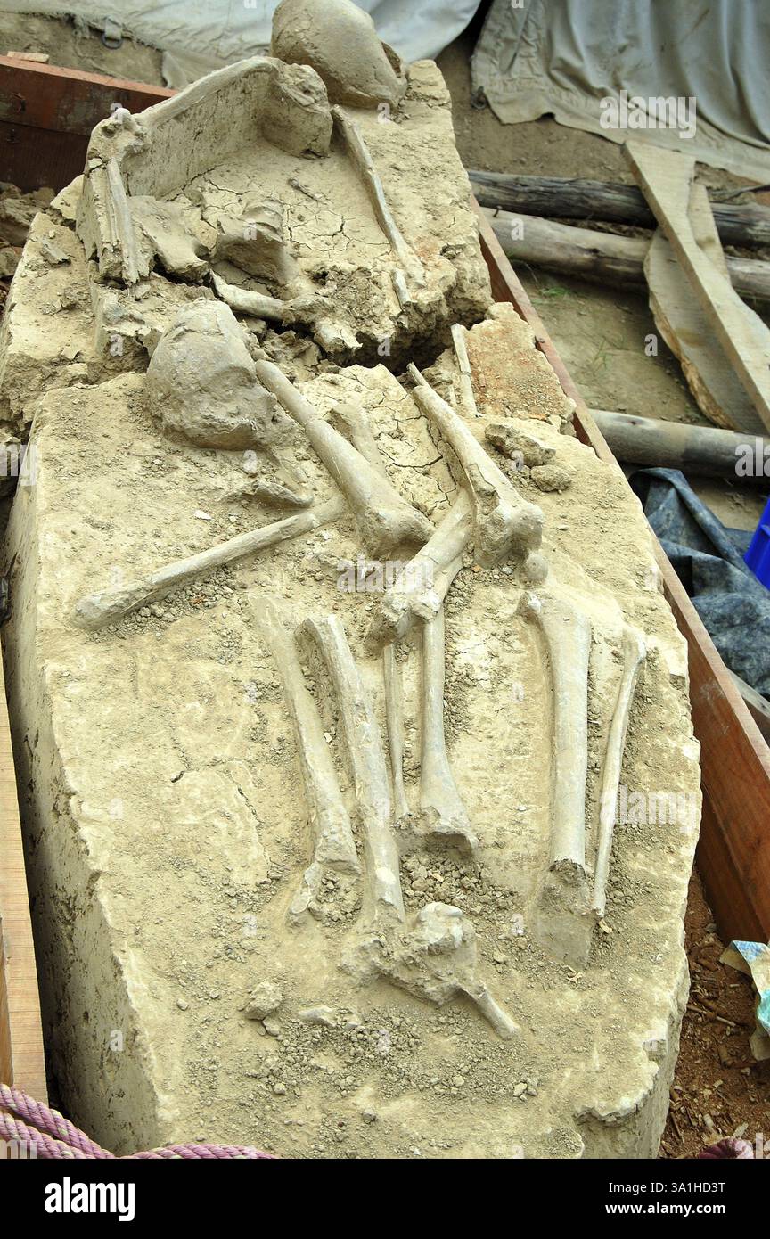 Excavations of burial site (4K years old) at Sinauli, Uttar Pradesh ...