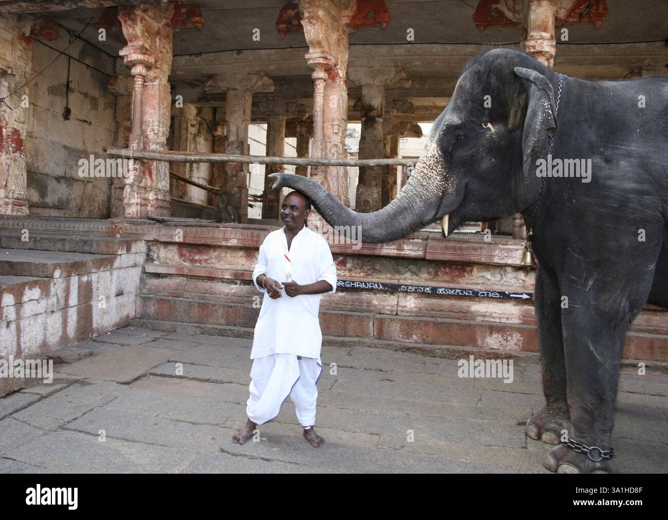 Elephant blessing devotee at Shree Virupakshaswamy temple, Hampi ...