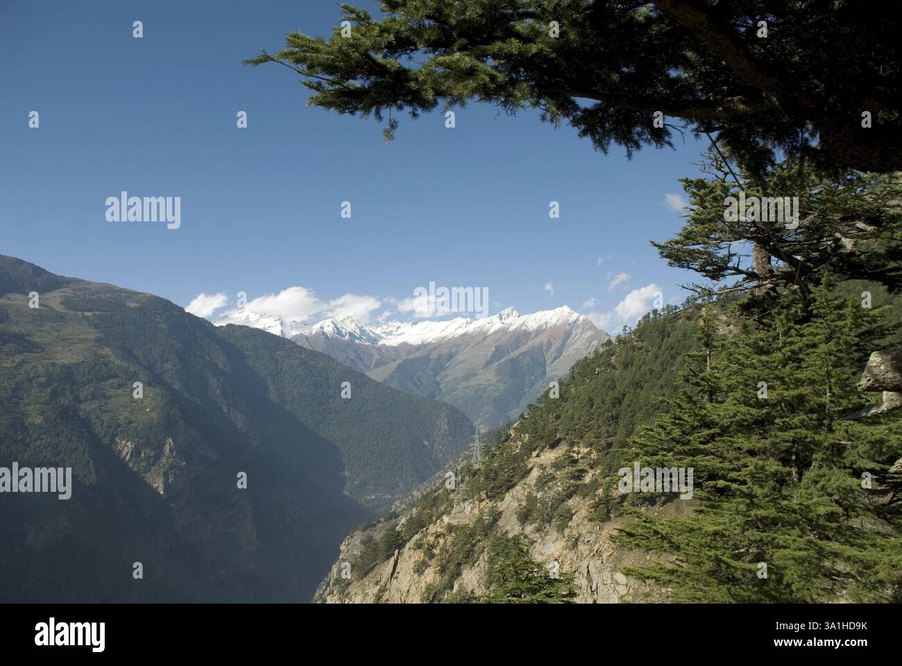 View from Kalpa valley, Himachal Pradesh, India, Asia Stock Photo - Alamy