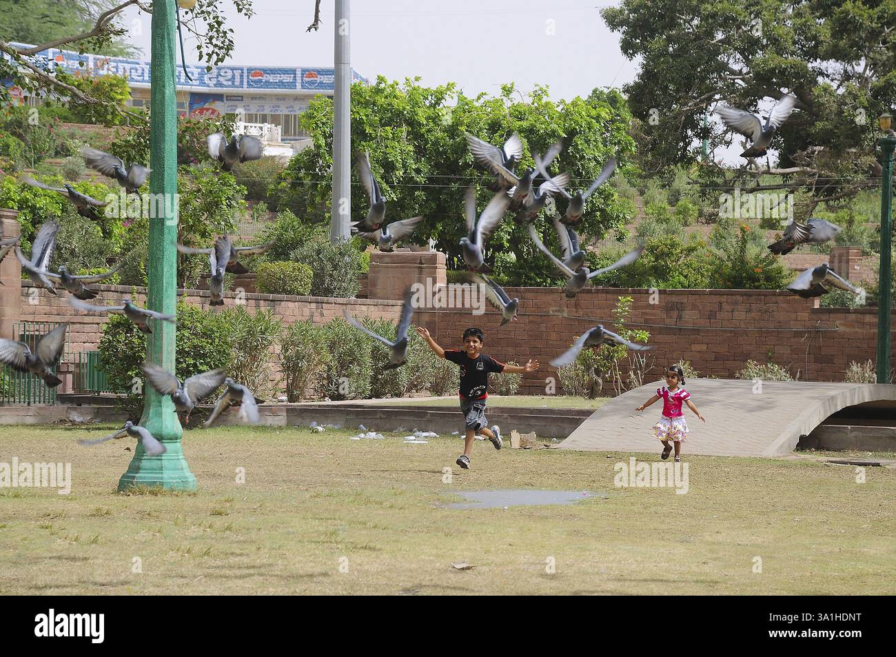 Children running behind pigeons, Mandore, Jodhpur, Rajasthan, India ...