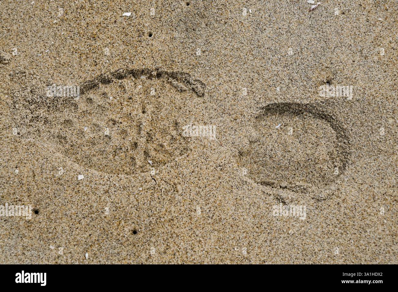 Shoe or foot marks at Devbaugh beach at Sindhudurgh, Maharashtra, India ...