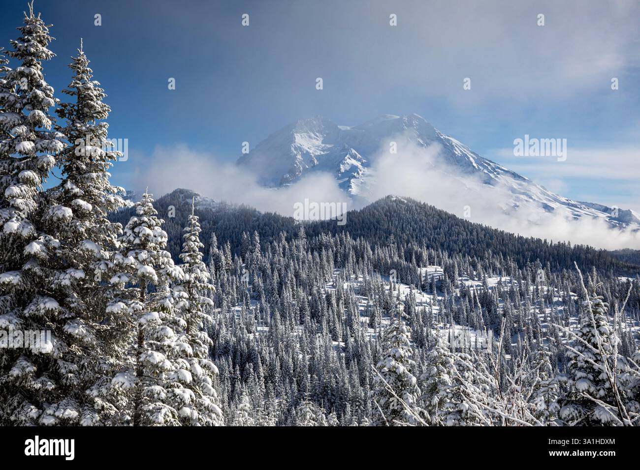 WA28196-00...WASHINGTON - Fog rising from the lowlands, soon to cover ...