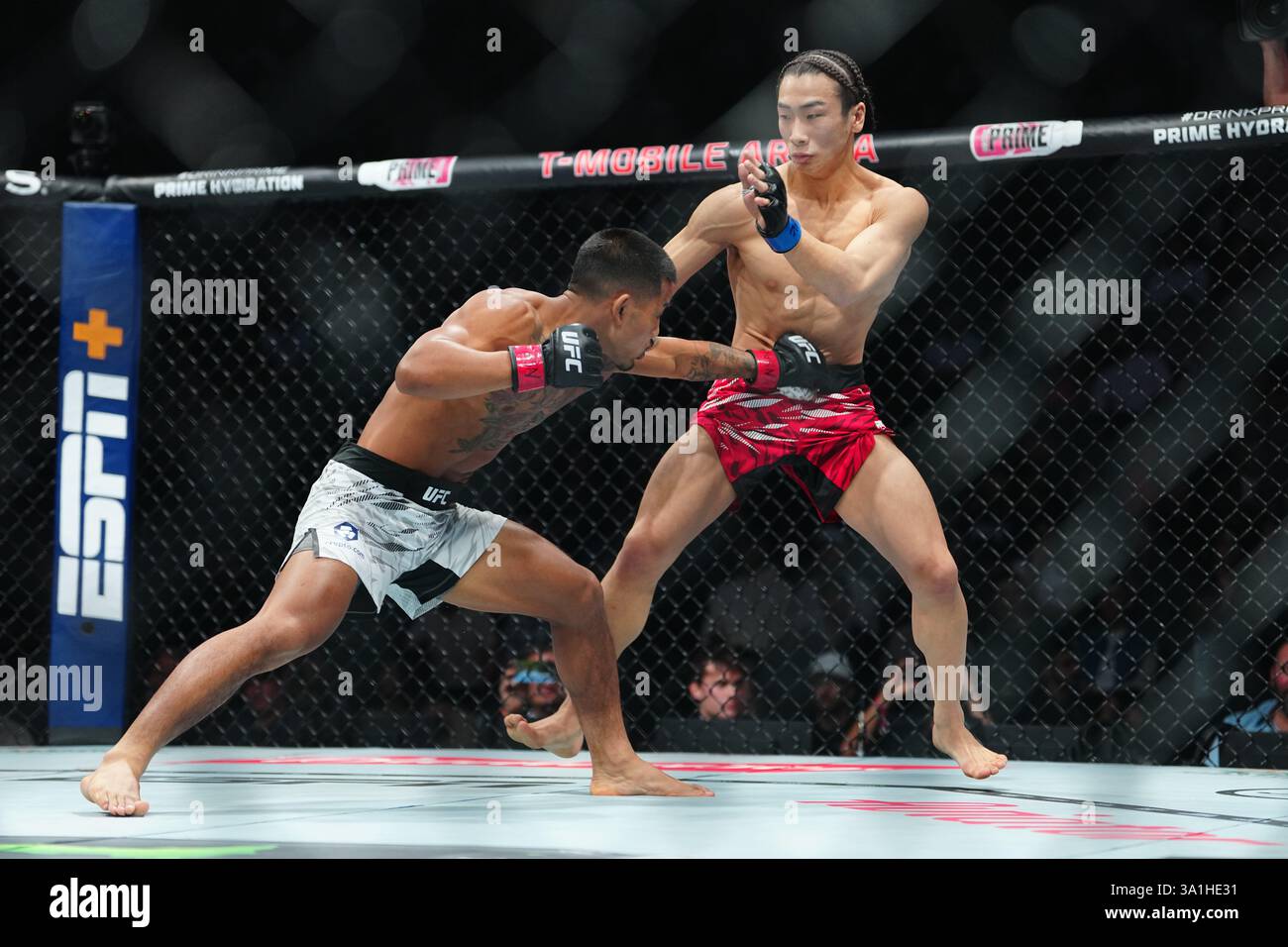 LAS VEGAS, NV - MARCH 8:Joshua Van and Rei Tsuruya meet in the octagon ...