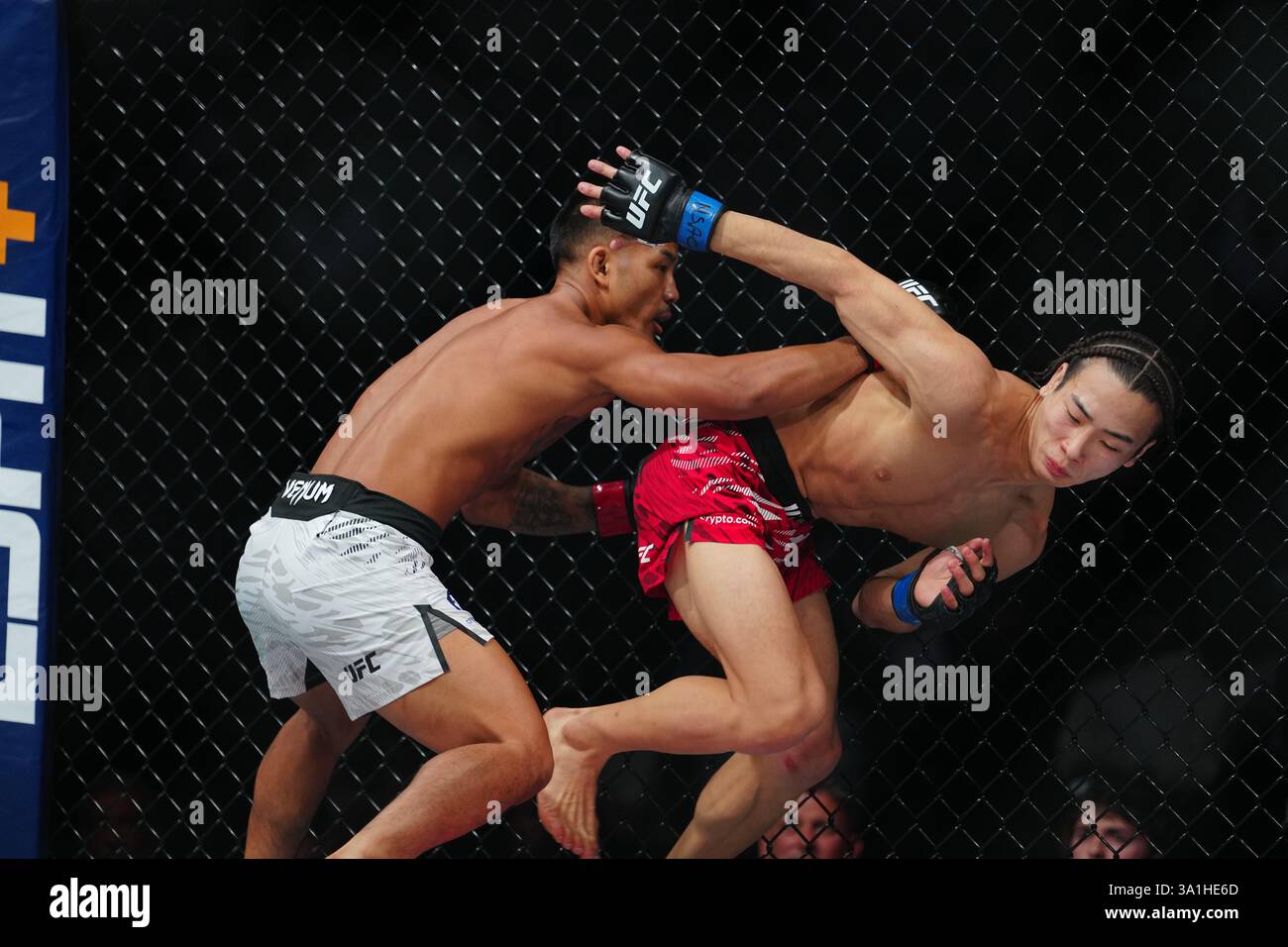 LAS VEGAS, NV - MARCH 8:Joshua Van and Rei Tsuruya meet in the octagon ...