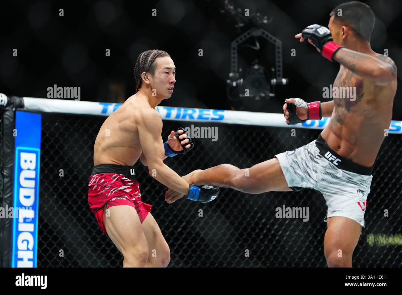 LAS VEGAS, NV - MARCH 8:Joshua Van and Rei Tsuruya meet in the octagon ...