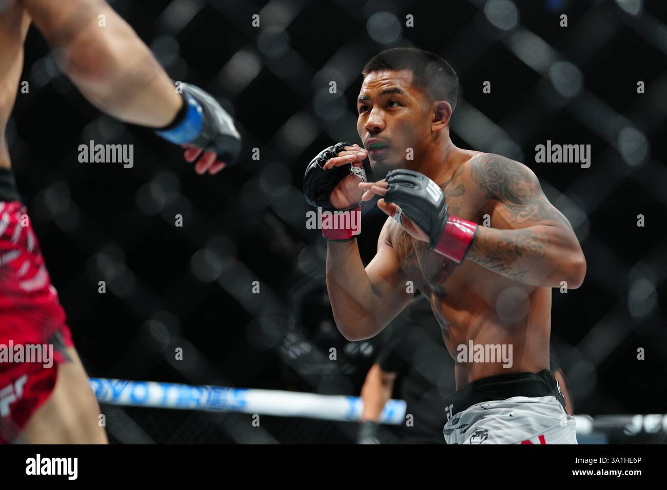 LAS VEGAS, NV - MARCH 8:Joshua Van and Rei Tsuruya meet in the octagon ...