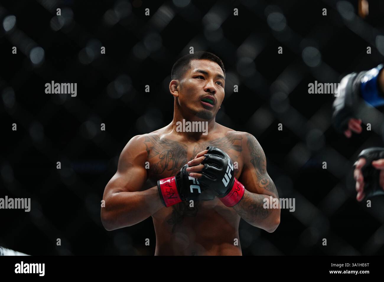 LAS VEGAS, NV - MARCH 8:Joshua Van and Rei Tsuruya meet in the octagon ...