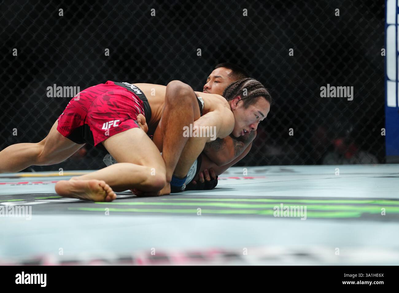 LAS VEGAS, NV - MARCH 8:Joshua Van and Rei Tsuruya meet in the octagon ...