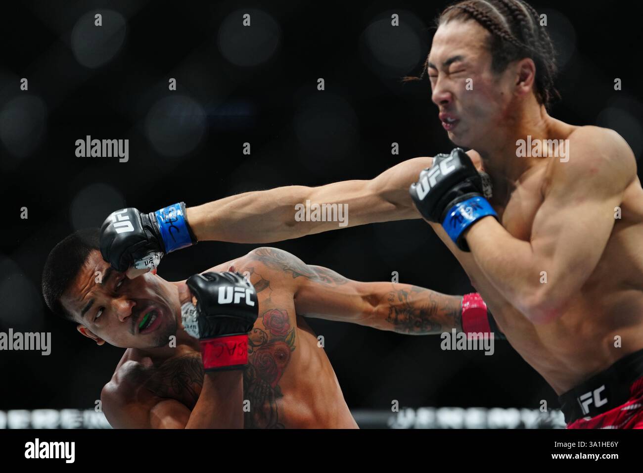 LAS VEGAS, NV - MARCH 8:Joshua Van and Rei Tsuruya meet in the octagon ...