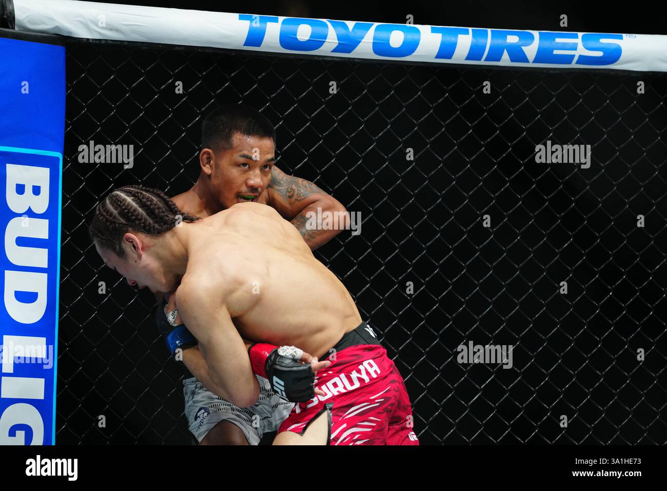 LAS VEGAS, NV - MARCH 8:Joshua Van and Rei Tsuruya meet in the octagon ...
