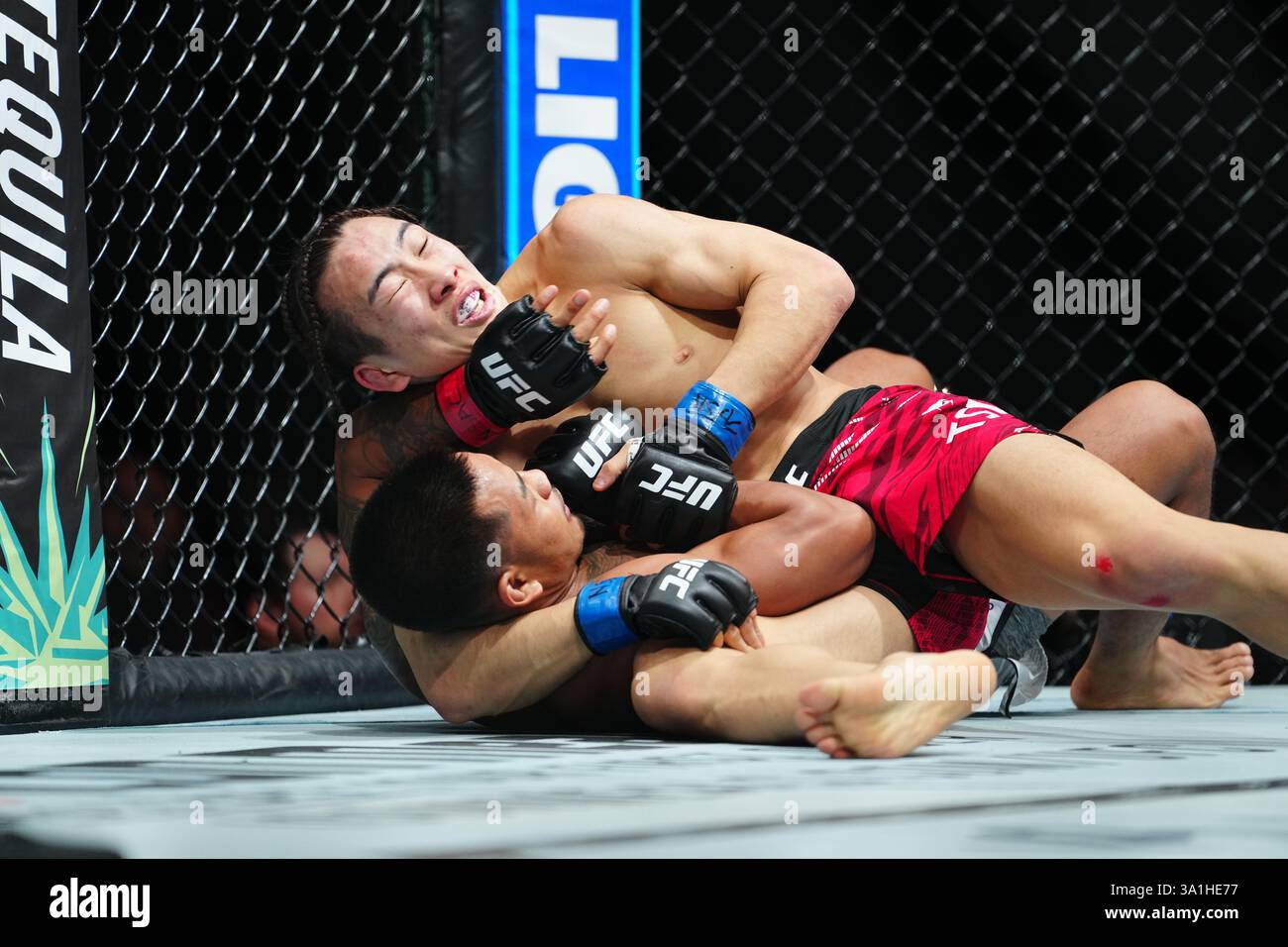 LAS VEGAS, NV - MARCH 8:Joshua Van and Rei Tsuruya meet in the octagon ...