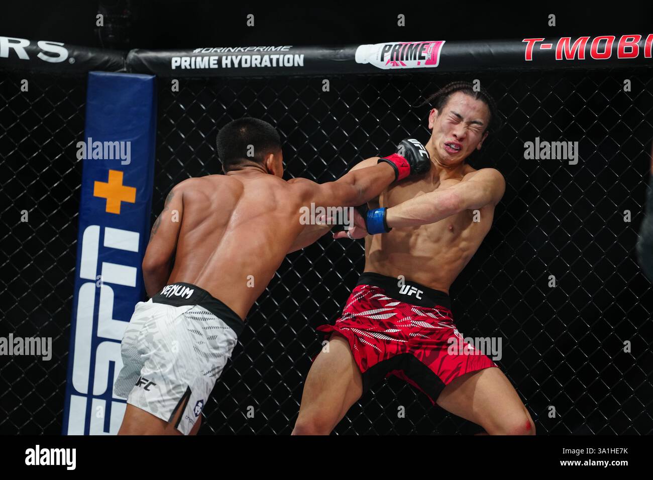 LAS VEGAS, NV - MARCH 8:Joshua Van and Rei Tsuruya meet in the octagon ...