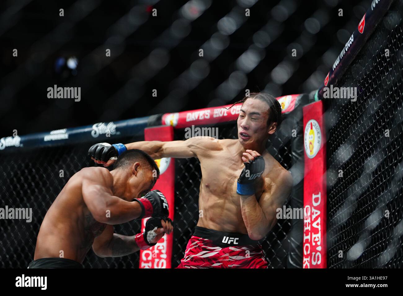 LAS VEGAS, NV - MARCH 8:Joshua Van and Rei Tsuruya meet in the octagon ...