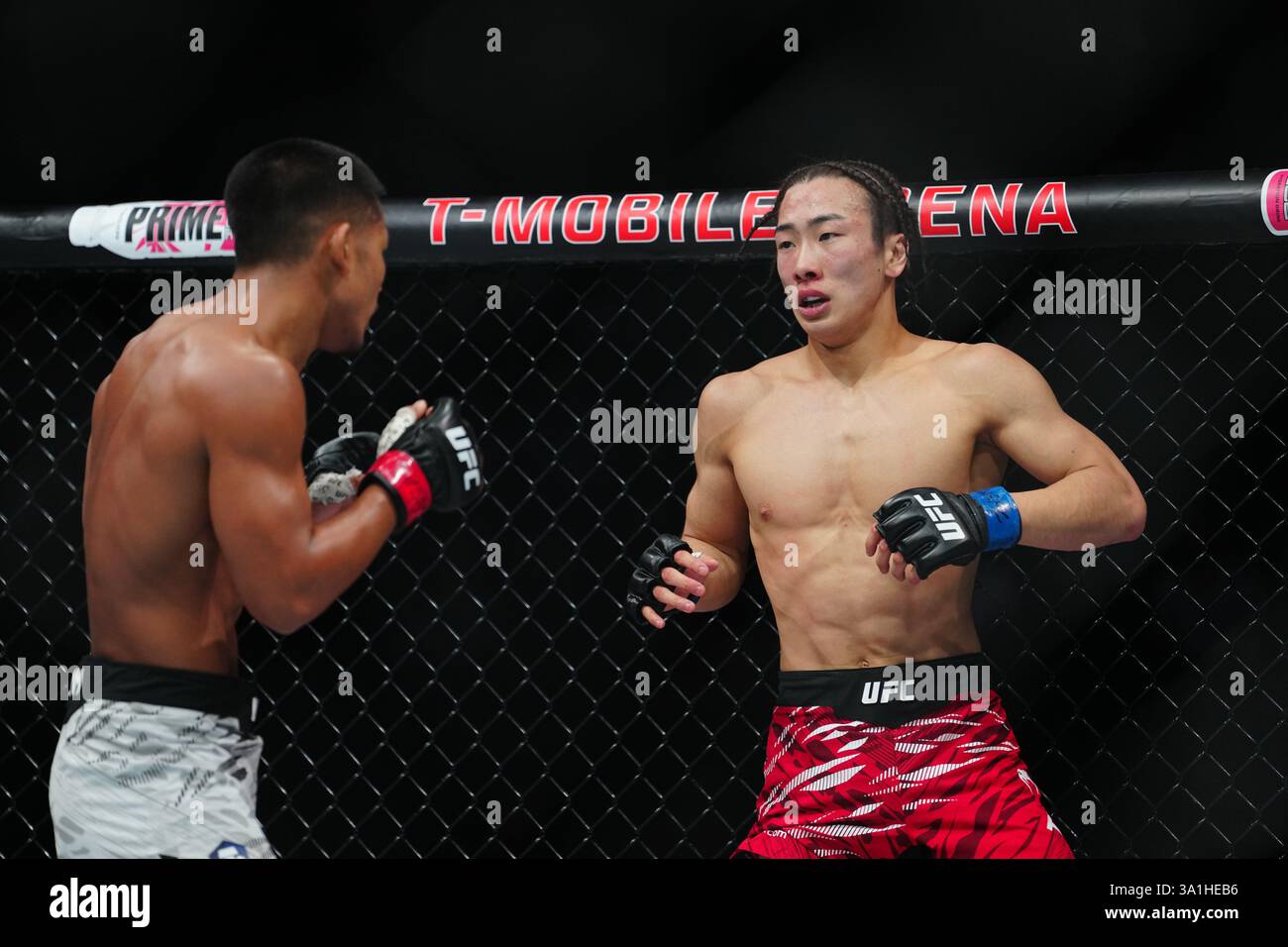 LAS VEGAS, NV - MARCH 8:Joshua Van and Rei Tsuruya meet in the octagon ...