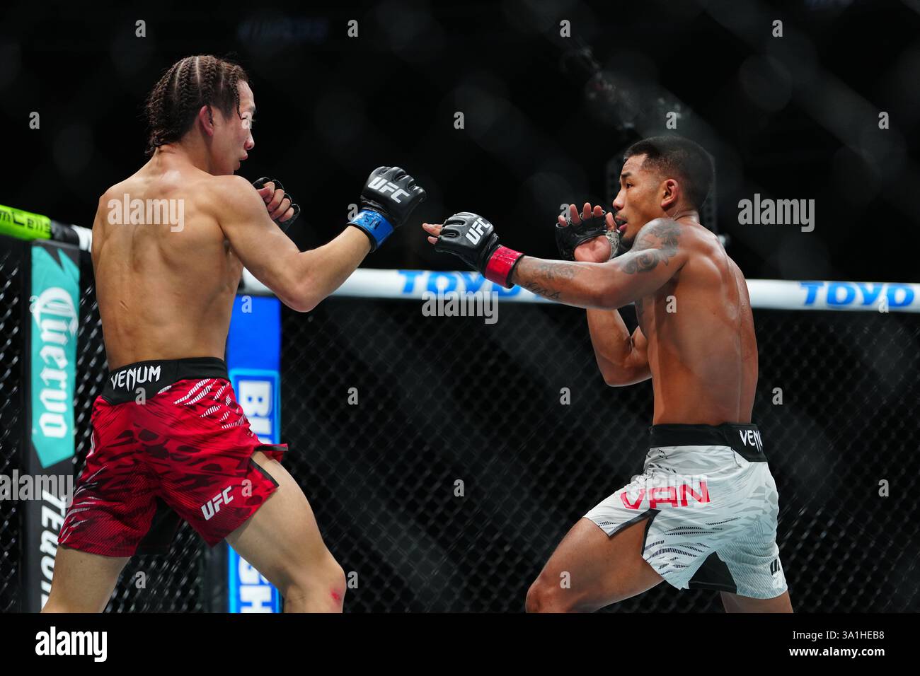 LAS VEGAS, NV - MARCH 8:Joshua Van and Rei Tsuruya meet in the octagon ...