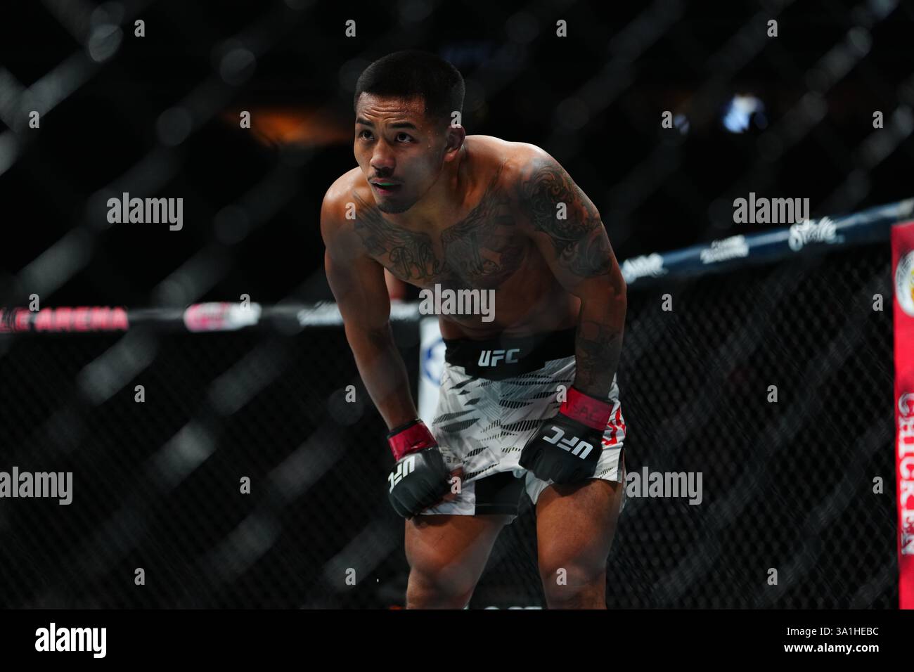 LAS VEGAS, NV - MARCH 8:Joshua Van and Rei Tsuruya meet in the octagon ...