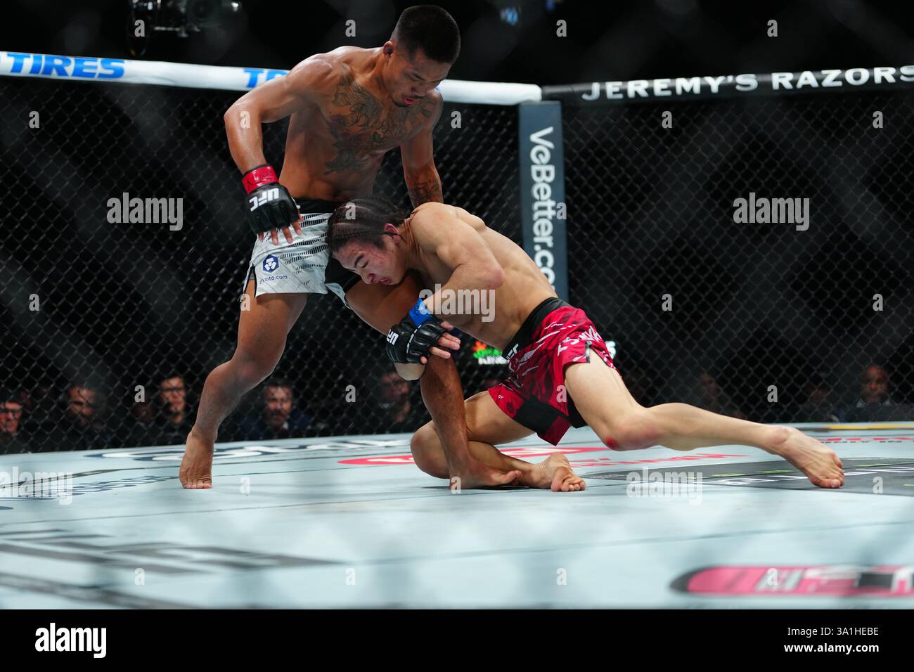LAS VEGAS, NV - MARCH 8:Joshua Van and Rei Tsuruya meet in the octagon ...