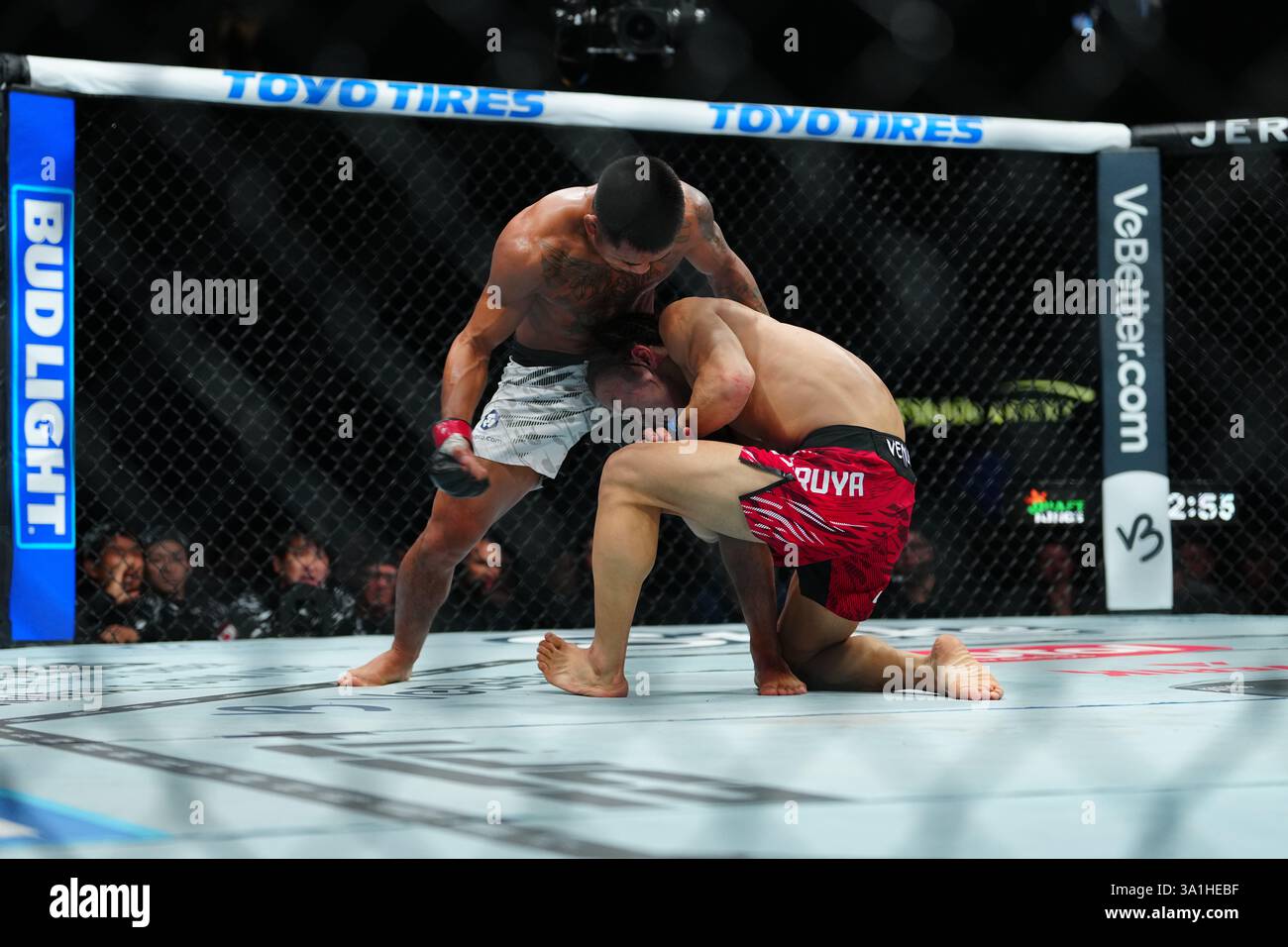 LAS VEGAS, NV - MARCH 8:Joshua Van and Rei Tsuruya meet in the octagon ...