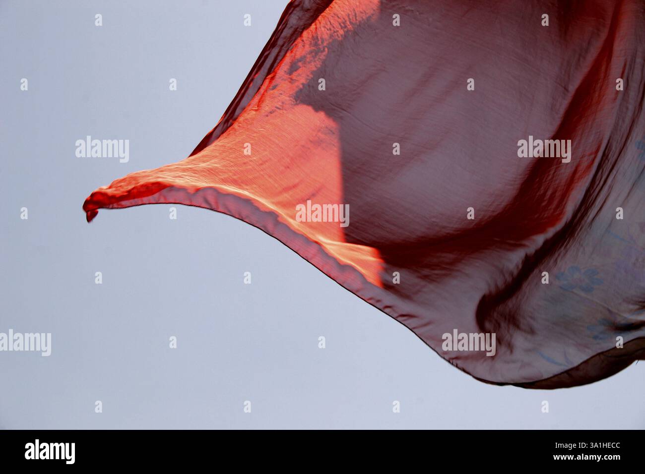 Abstract of Indian traditional ladies wear known as saree of red color ...