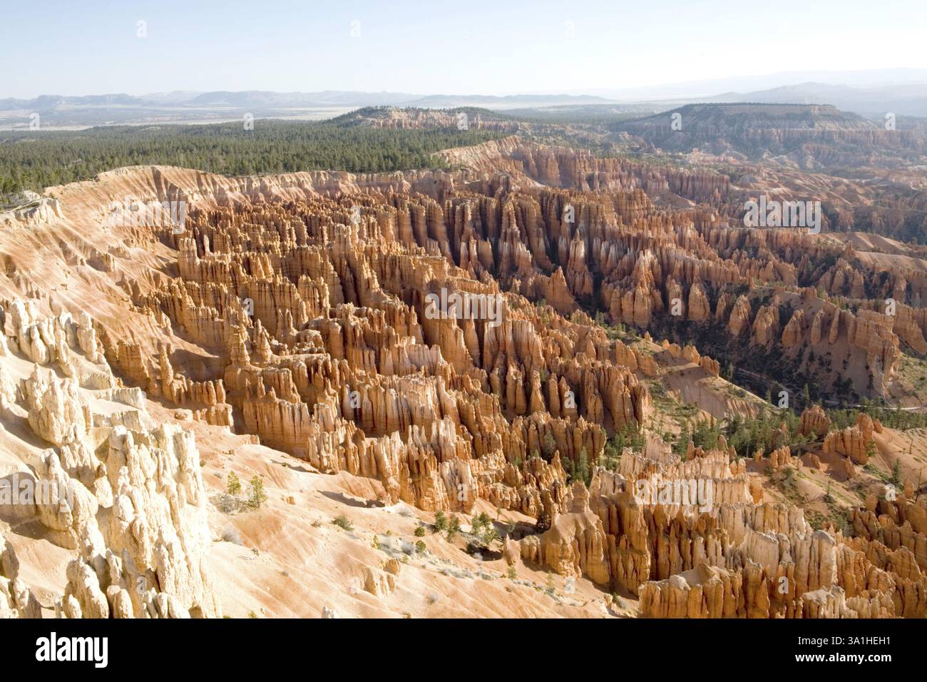 Hoodoos, pillar of rocks made by erosion at Bryce Canyon national park ...