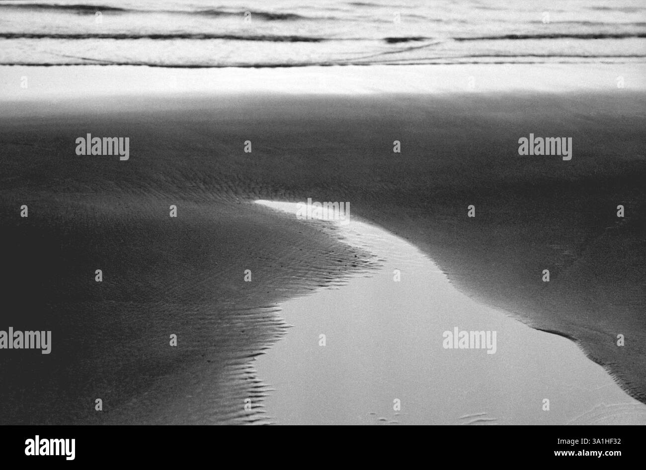 Water on sand, Porbandar area of Gujarat, India, Asia Stock Photo - Alamy