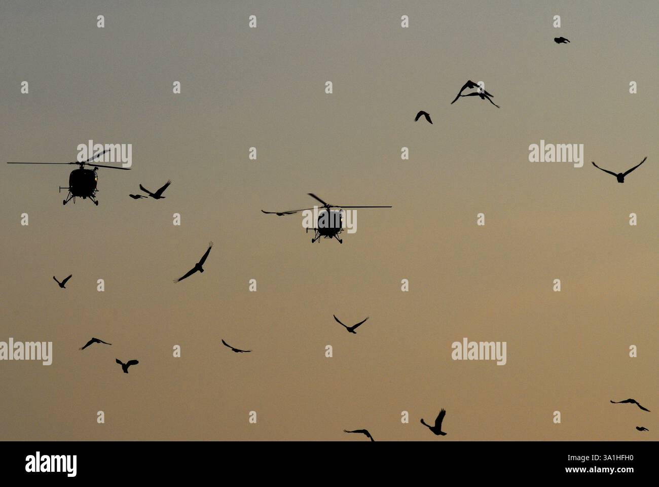 Indian Navy's Chetak helicopters fly over Gateway of India in Bombay ...