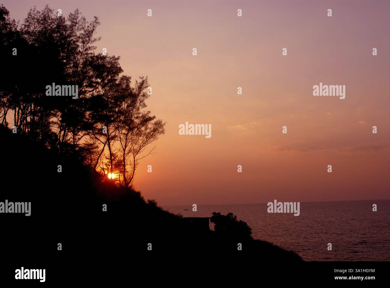 Colorful Sunset behind Cypress tree on mountain, birds and sea ...