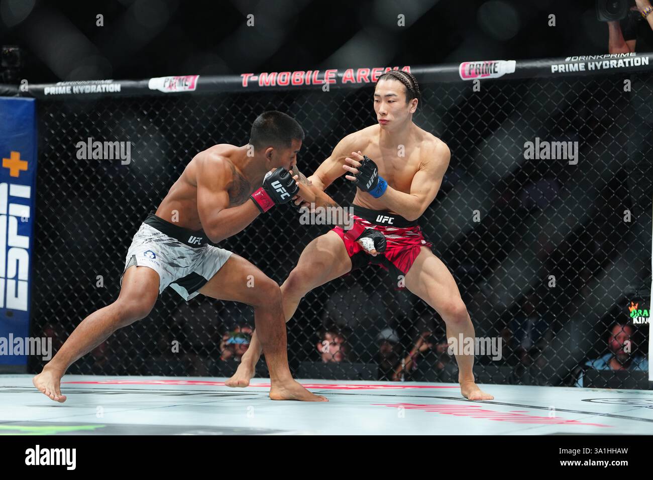 LAS VEGAS, NV - MARCH 8:Joshua Van and Rei Tsuruya meet in the octagon ...