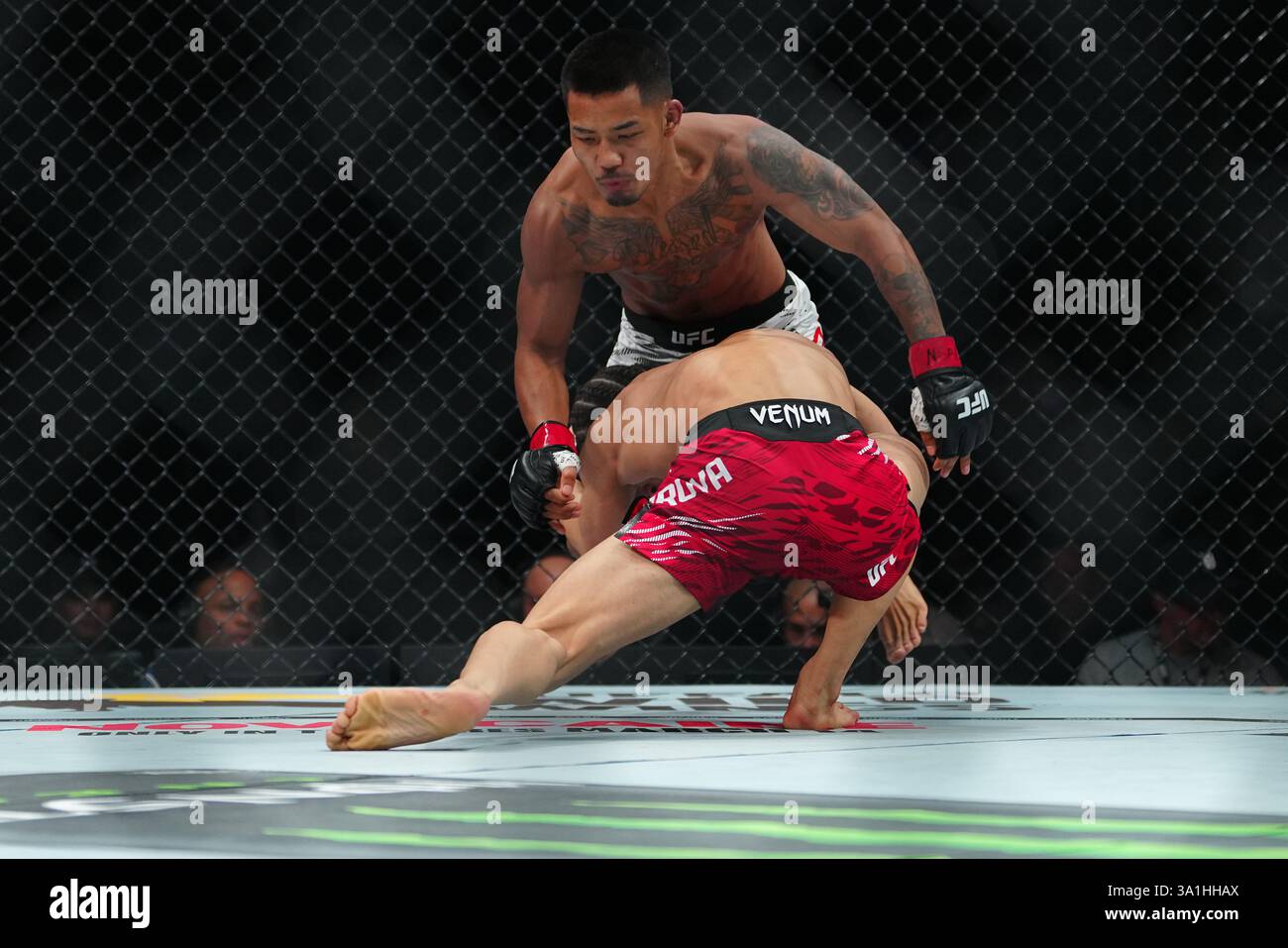 LAS VEGAS, NV - MARCH 8:Joshua Van and Rei Tsuruya meet in the octagon ...