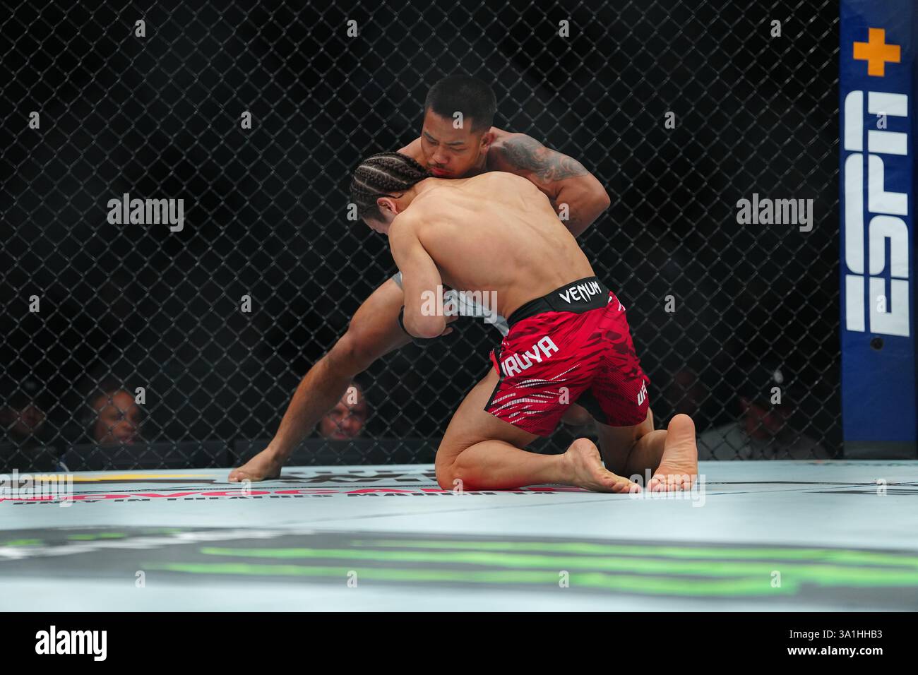 LAS VEGAS, NV - MARCH 8:Joshua Van and Rei Tsuruya meet in the octagon ...