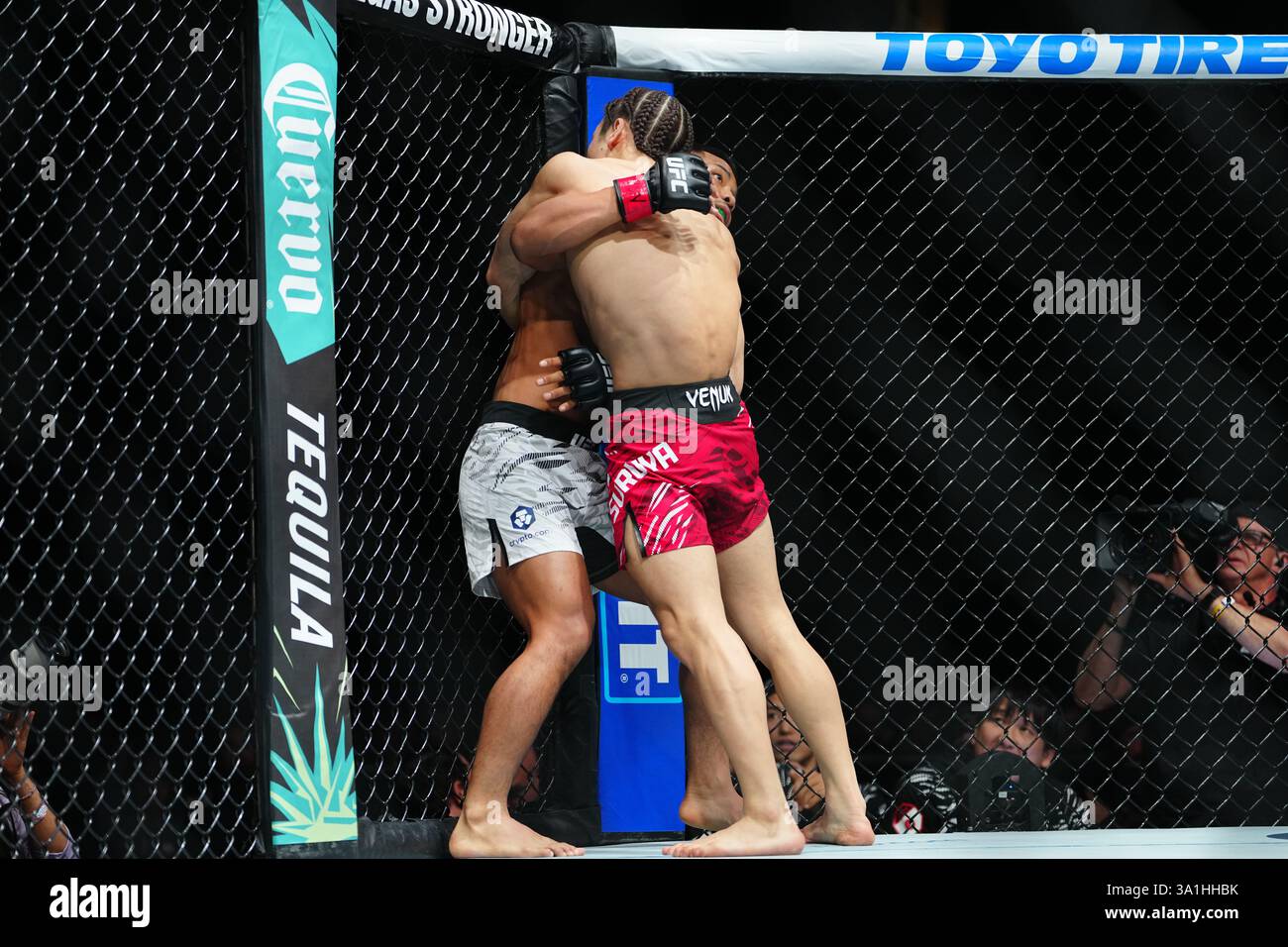 LAS VEGAS, NV - MARCH 8:Joshua Van and Rei Tsuruya meet in the octagon ...