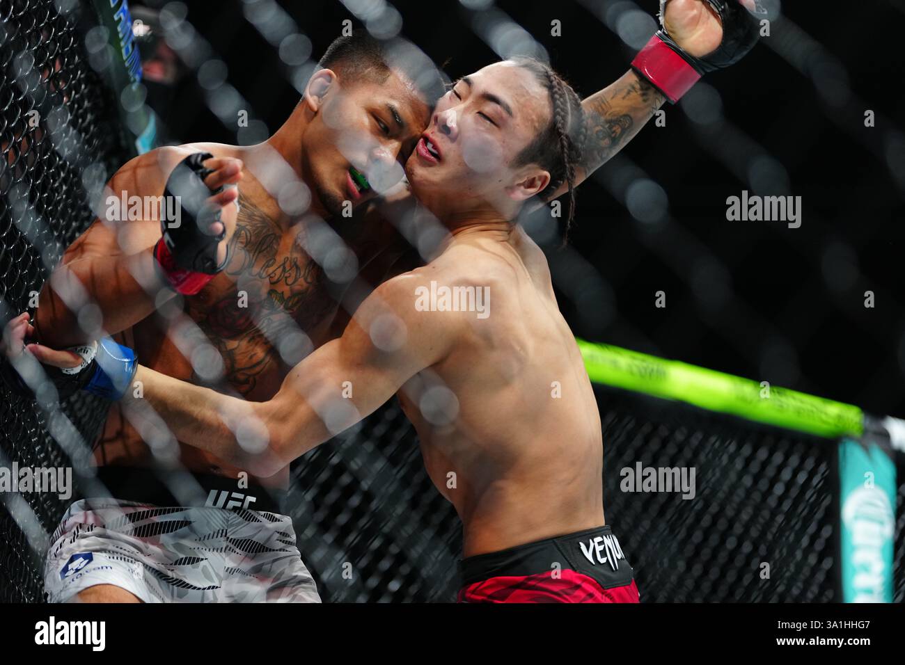 LAS VEGAS, NV - MARCH 8:Joshua Van and Rei Tsuruya meet in the octagon ...